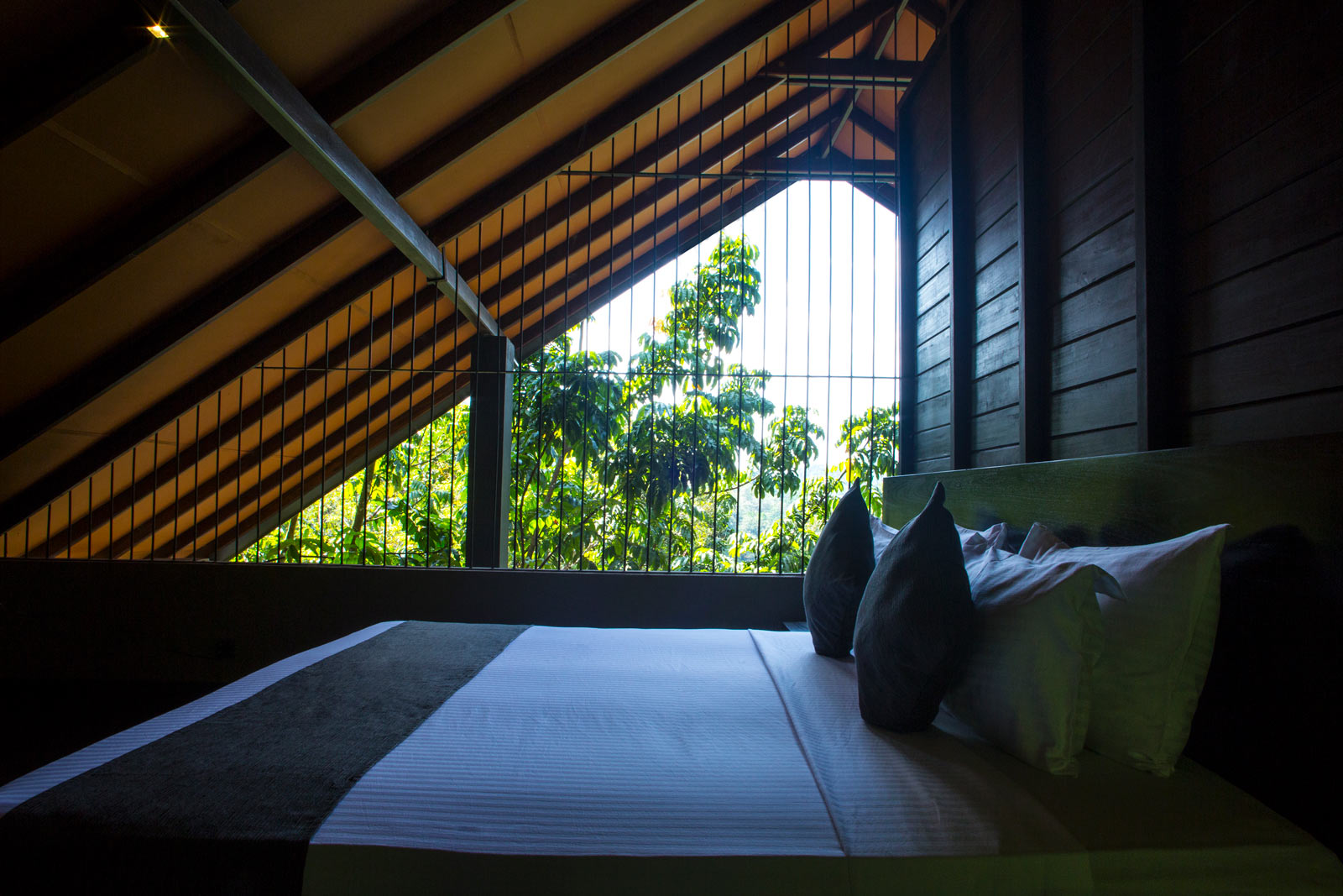 Forest Shade Eco Resort Hotel | Dishna Thilanka Architects